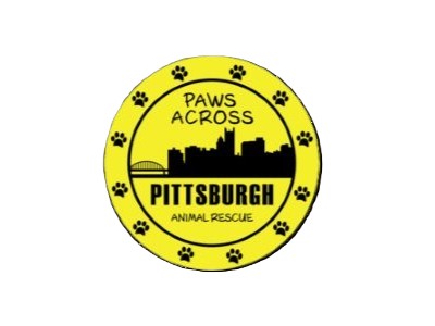 Groundworks Sponsors Paws Rocks Community Event